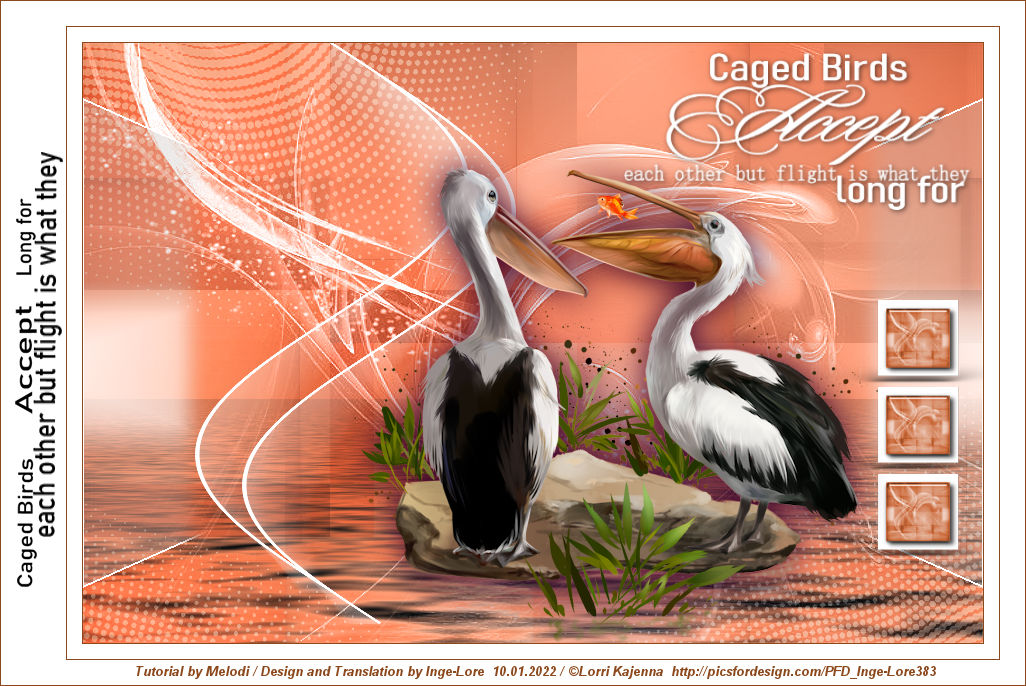 Bird Tutorial – PSP MELODİ